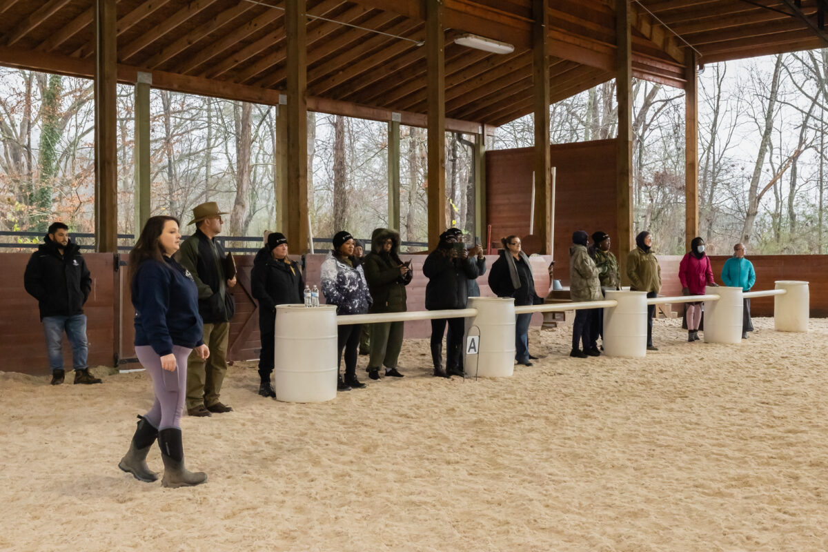 Community Outreach – Free Rein